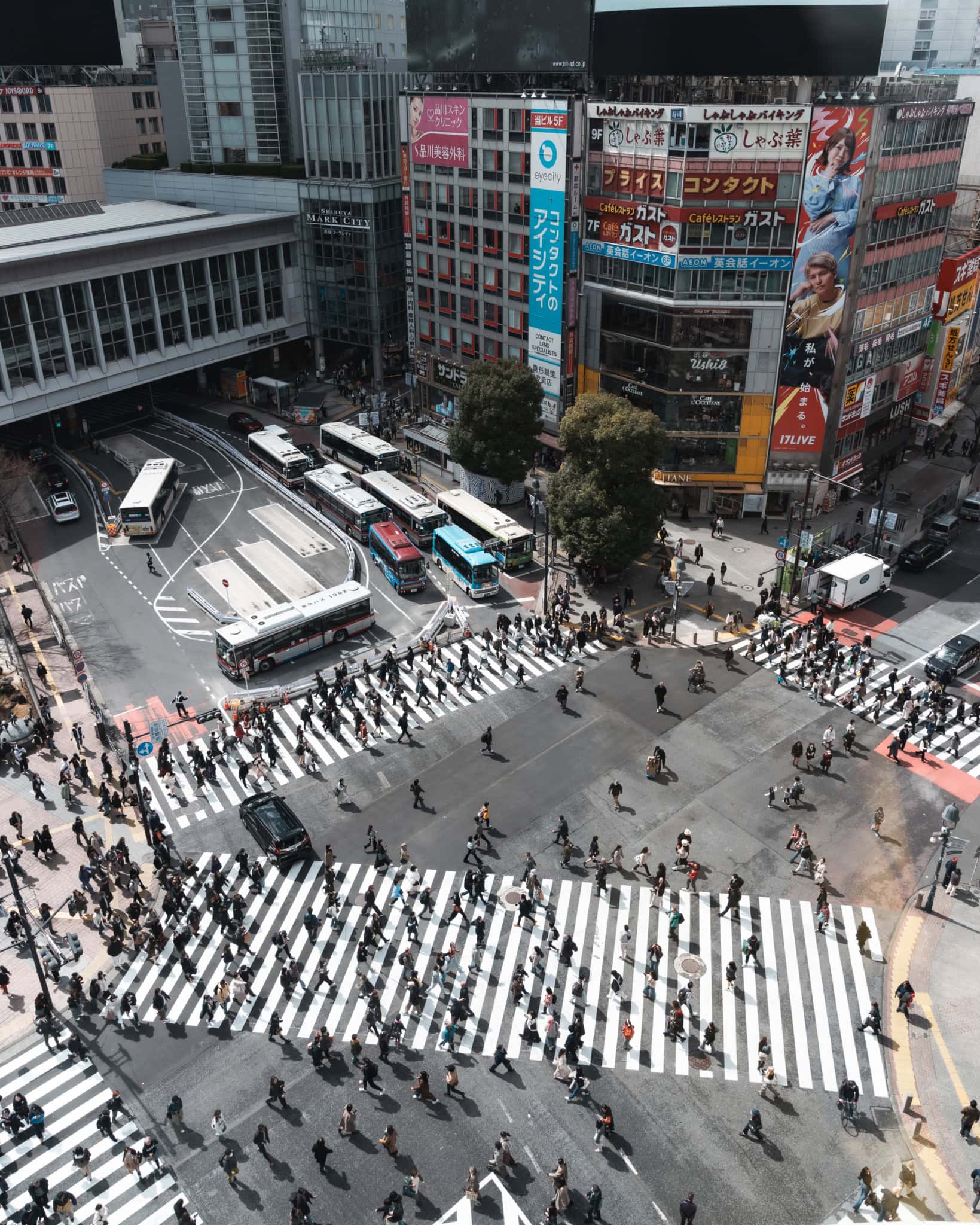 Tokyo Guide: Everything about Japan's mega metropolis - Destary