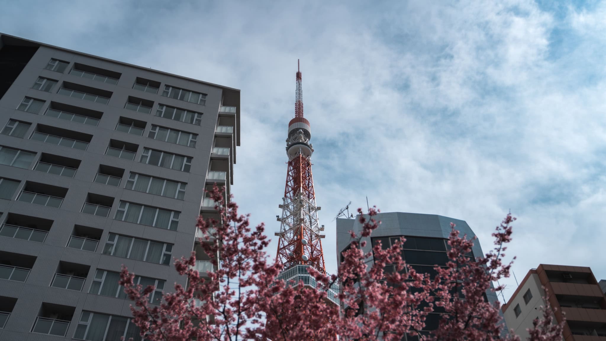 Tokyo Guide: Everything about Japan's mega metropolis - Destary