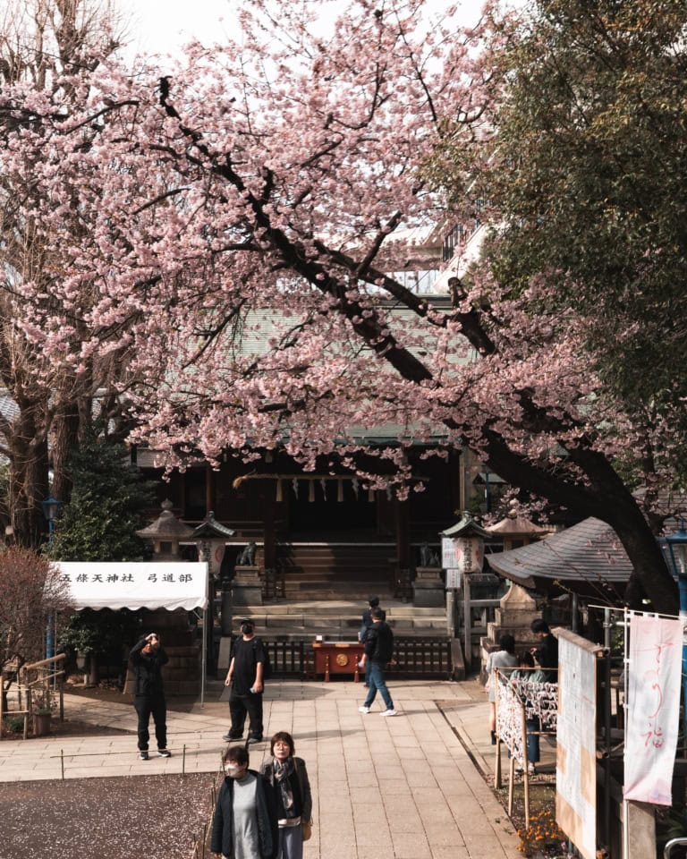 Logbook: One week in Tokio - Destary