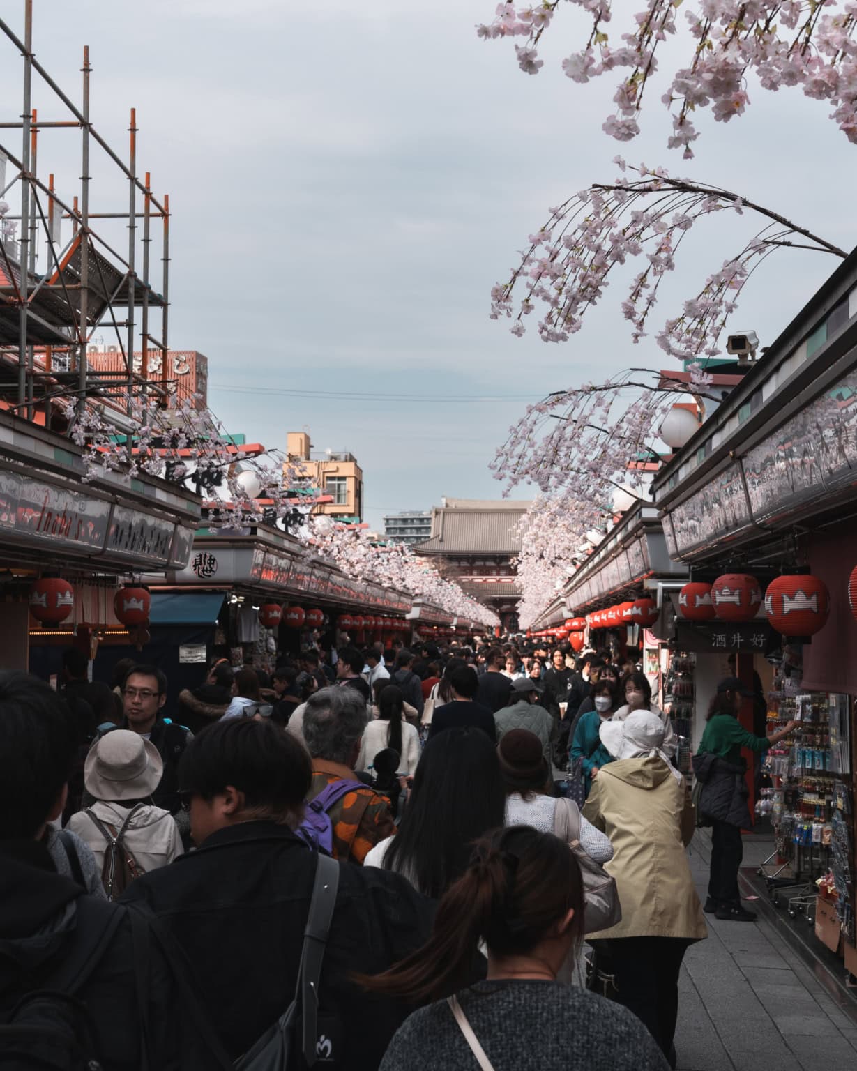 Tokyo Guide: Everything about Japan's mega metropolis - Destary